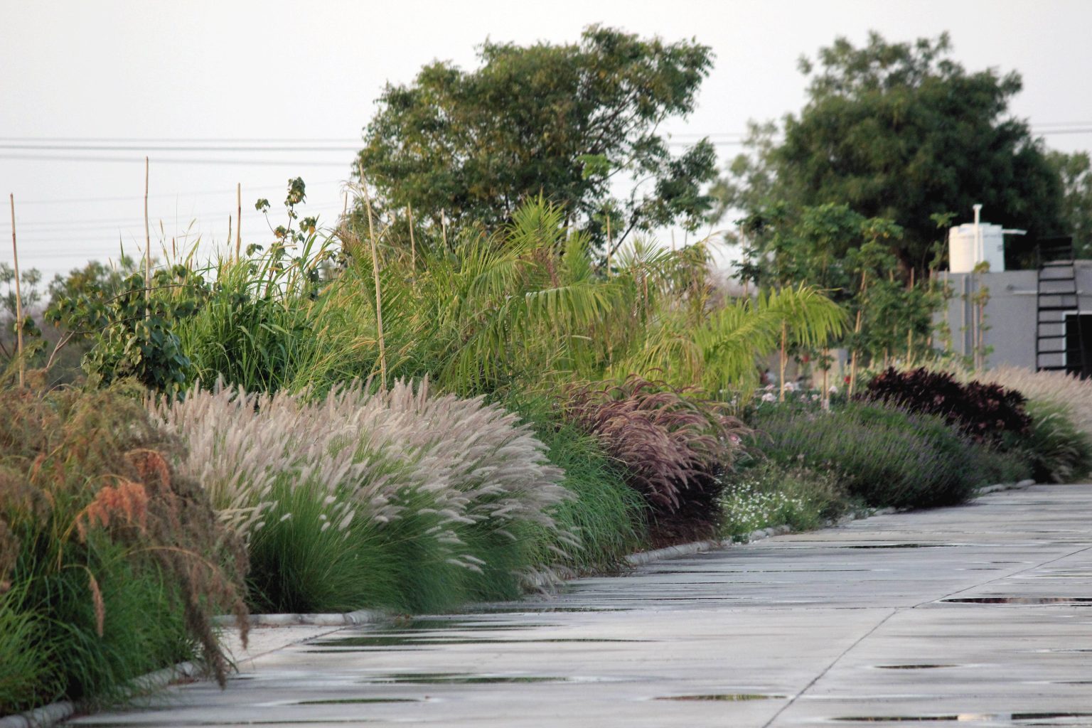 Garden Designer in Ahmedabad, Landscape Design Planning